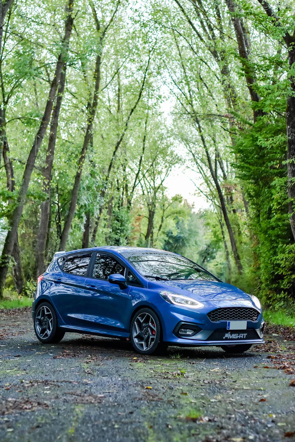 @alvarostmk8's vehicle on RoadStr | Ford Fiesta ST 2019